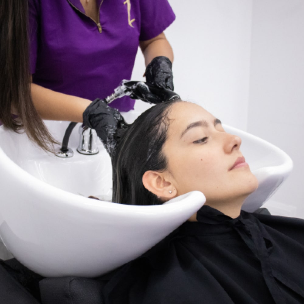 REESTRUCTURACIÓN CAPILAR - Alizar